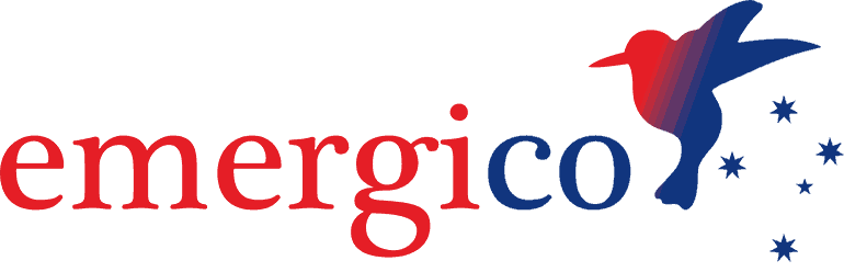 8 Reasons Why You Should Use Emergico’s Migration Services - Emergico